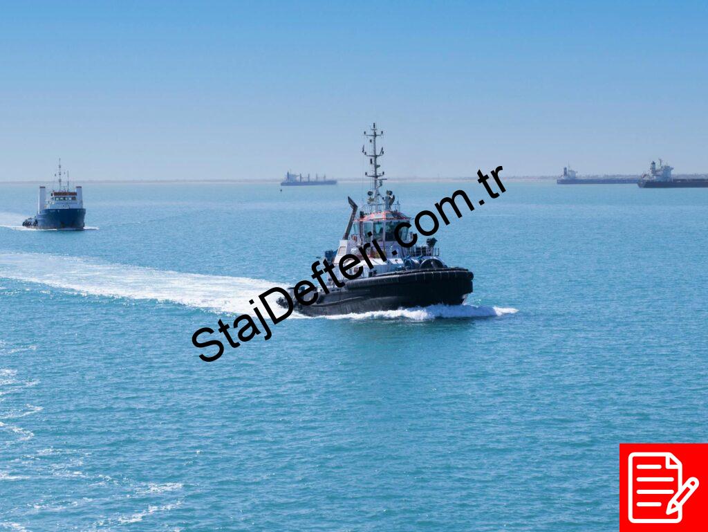 dış ticaret staj defteri örneği - Staj Defteri