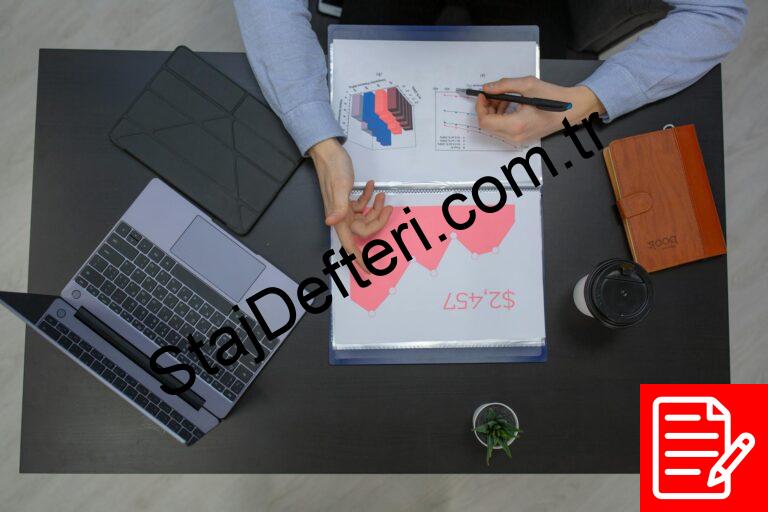 muhasebe staj defteri doldurulmuş örneği - Staj Defteri