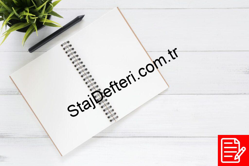 Naylon staj defteri örnekleri - Staj Defteri