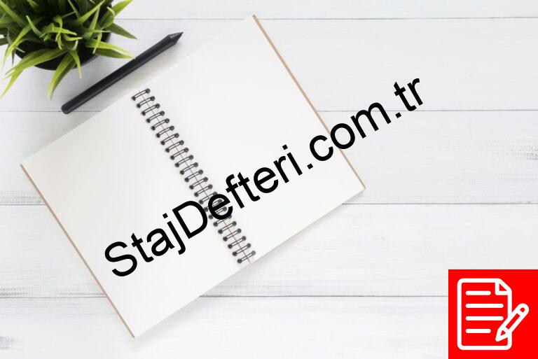 Staj defteri örneği word - Staj Defteri